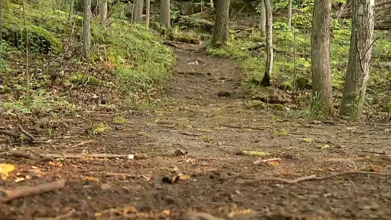 State Park Police Share Best Practices for a Safe Hike