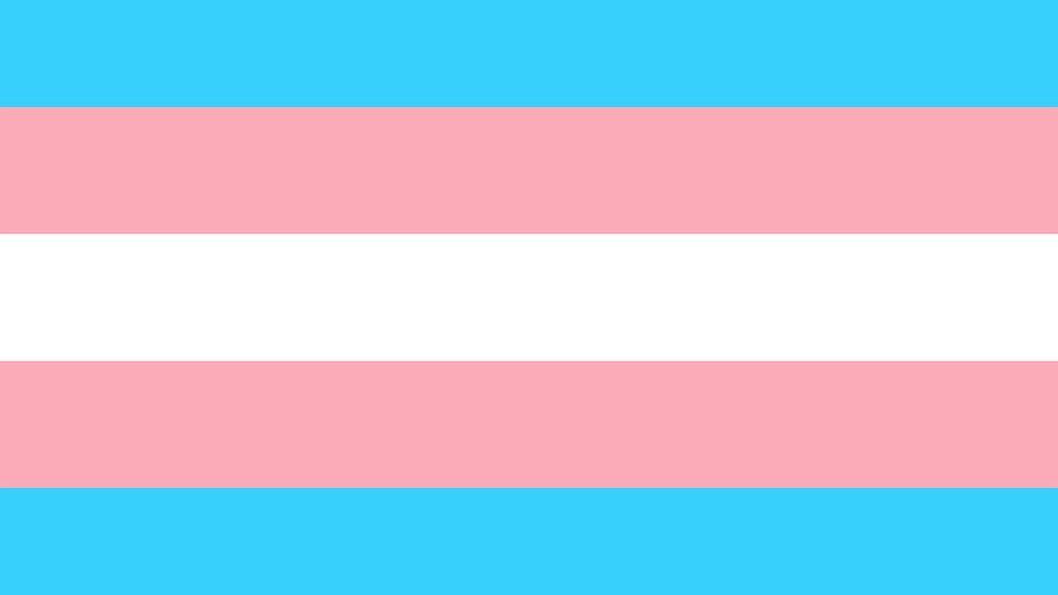 Showcase Honors International Transgender Day of Visibility