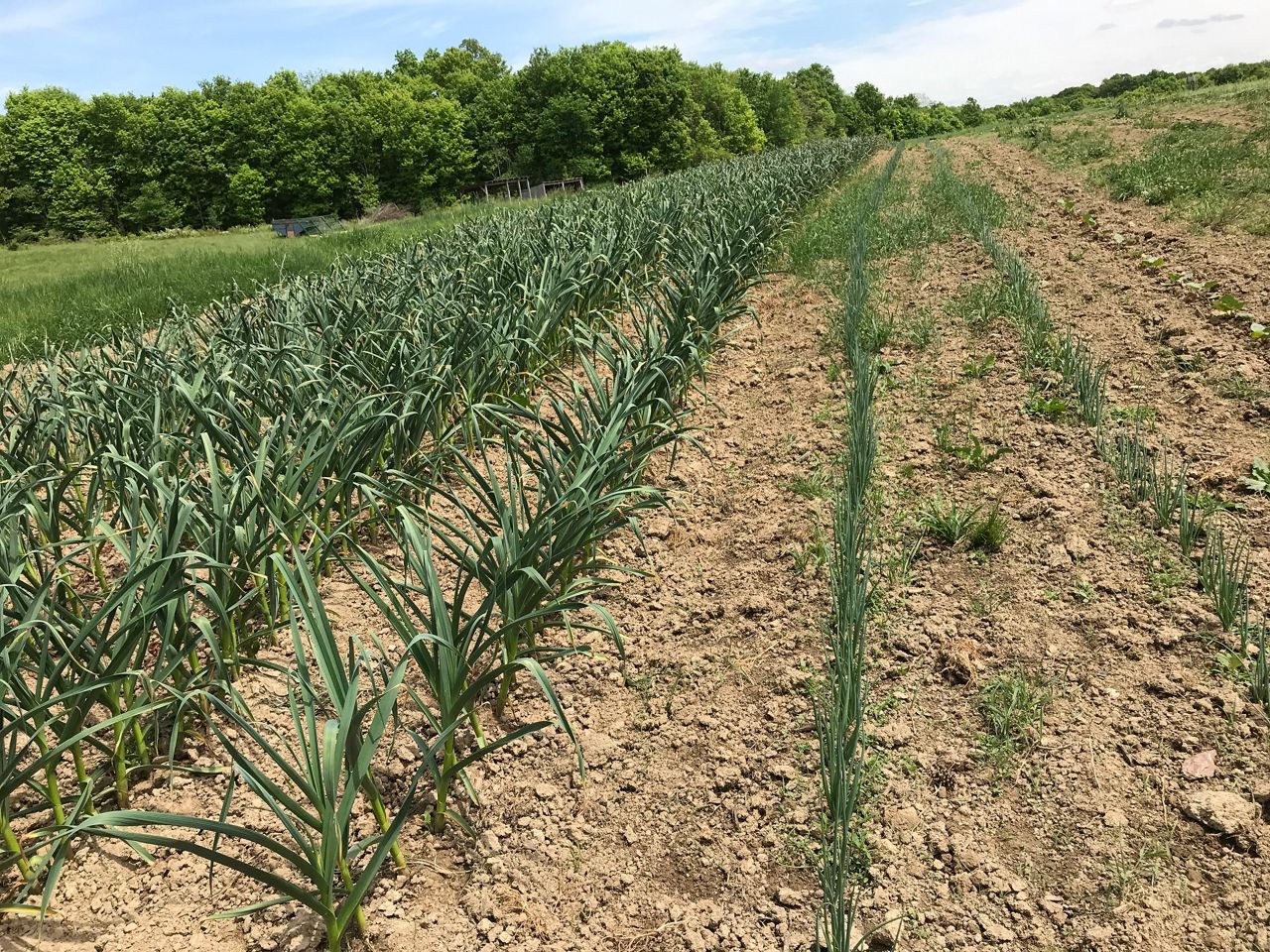 Trapp Family Farm in Cuyahoga Valley National Park