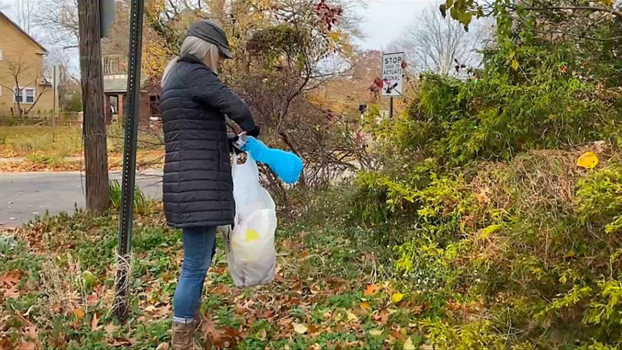 Cleveland Heights green team cleanup