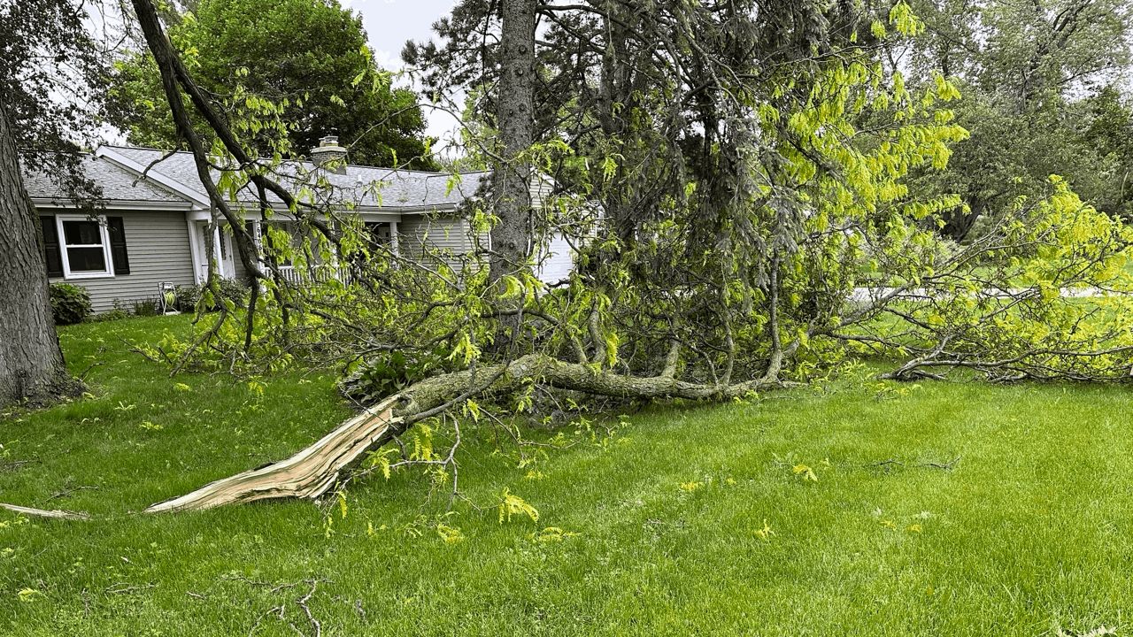 More than 200 sites damaged in storm in Dane County
