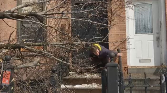 Resident Told It Could Take a Month to Remove Tree Blocking Door
