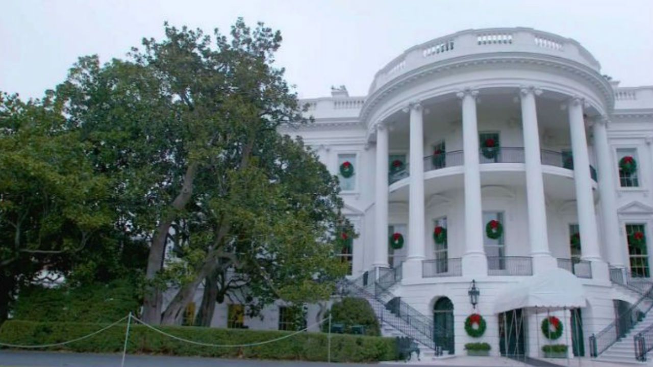 Historic White House tree rotting, to be removed this week