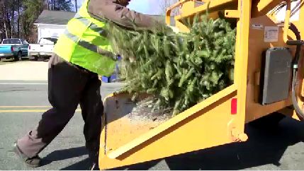 Man Dressed Up as Tree Arrested for Obstructing Traffic