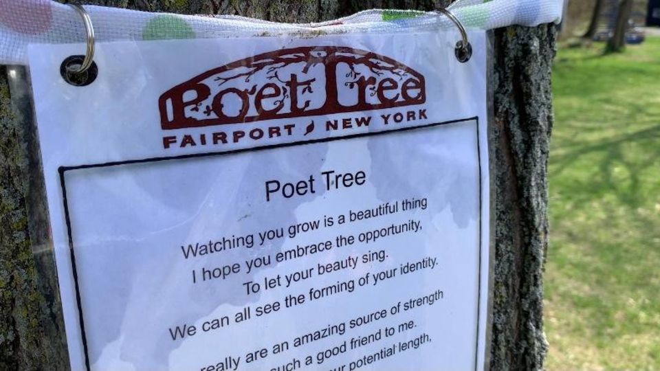 Poet-Tree Experience Along the Erie Canal in Fairport