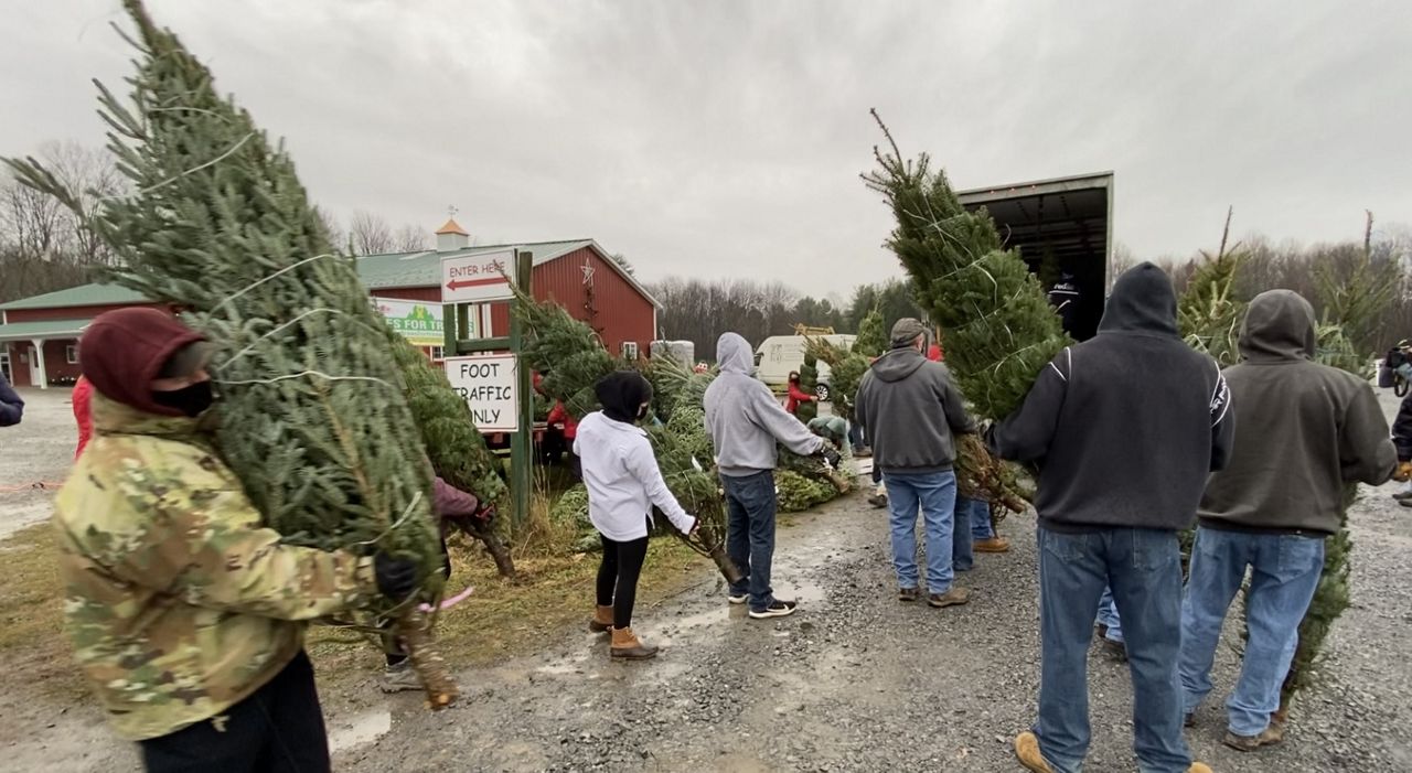 Trees for Troops Delivers the Holidays to Military Families