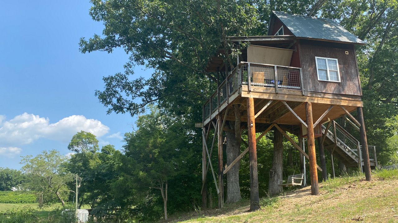 Tar Heel Treasures: Treehouse Vineyards