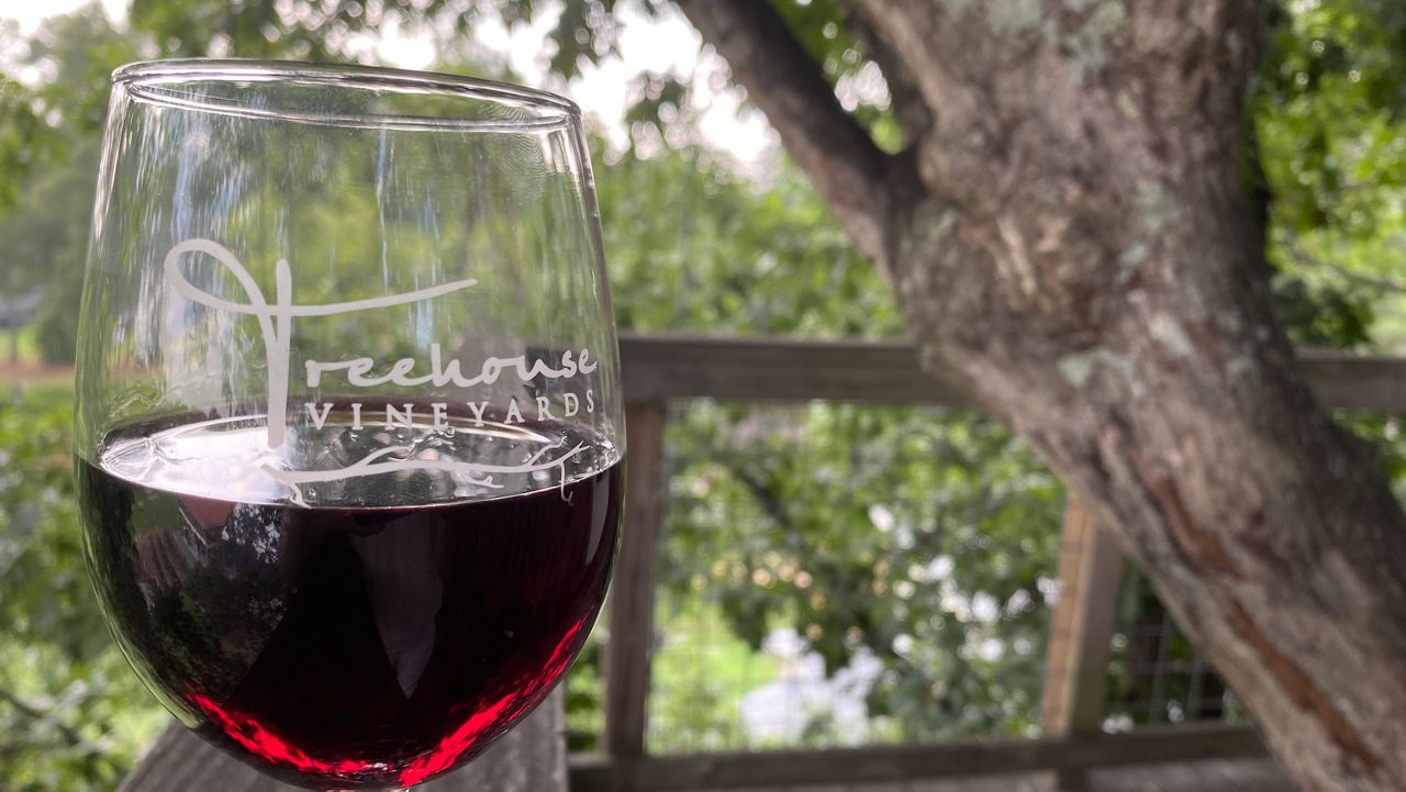 Tar Heel Treasures: Treehouse Vineyards