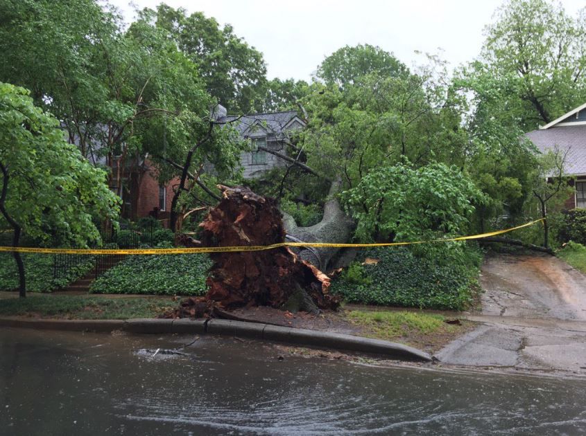 Heavy Storms Leave Flooding, Downed Trees