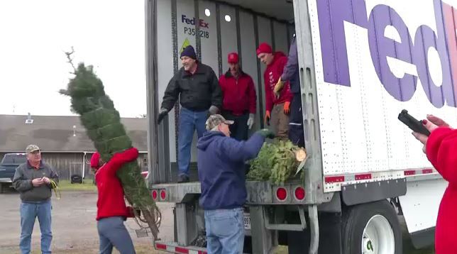 Trees for Troops to Deliver 18,000 Farm-Grown Trees to Military ...
