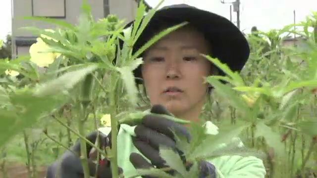 Trending in Tokyo: Sustainable Agriculture Brings Farmer and Consumer ...