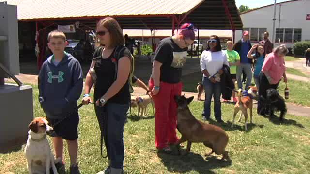 Triad's Top Dogs Compete for a Good Cause
