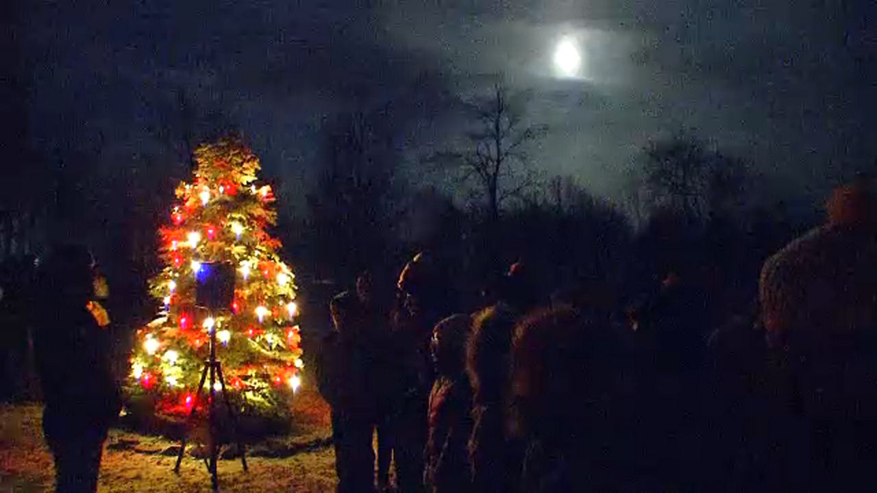 Clear Path for Veterans Tribute Tree