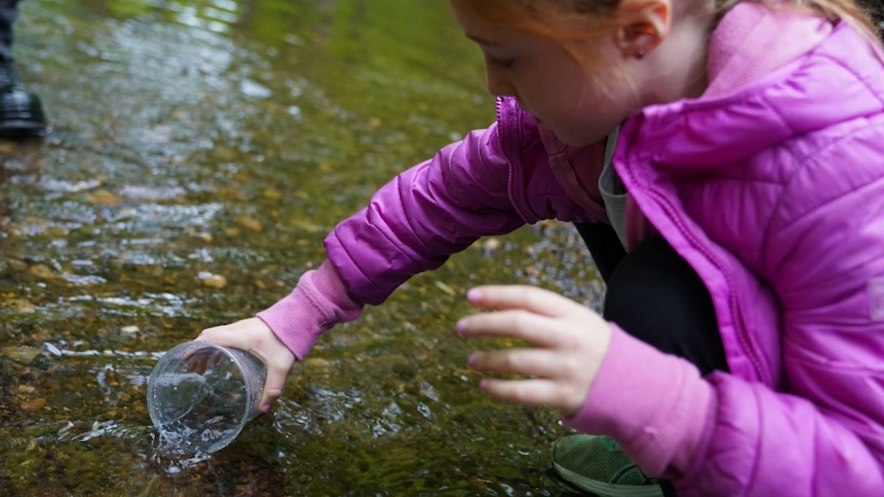 Students Learn Food Science by Raising Tiny Trout in the Classroom