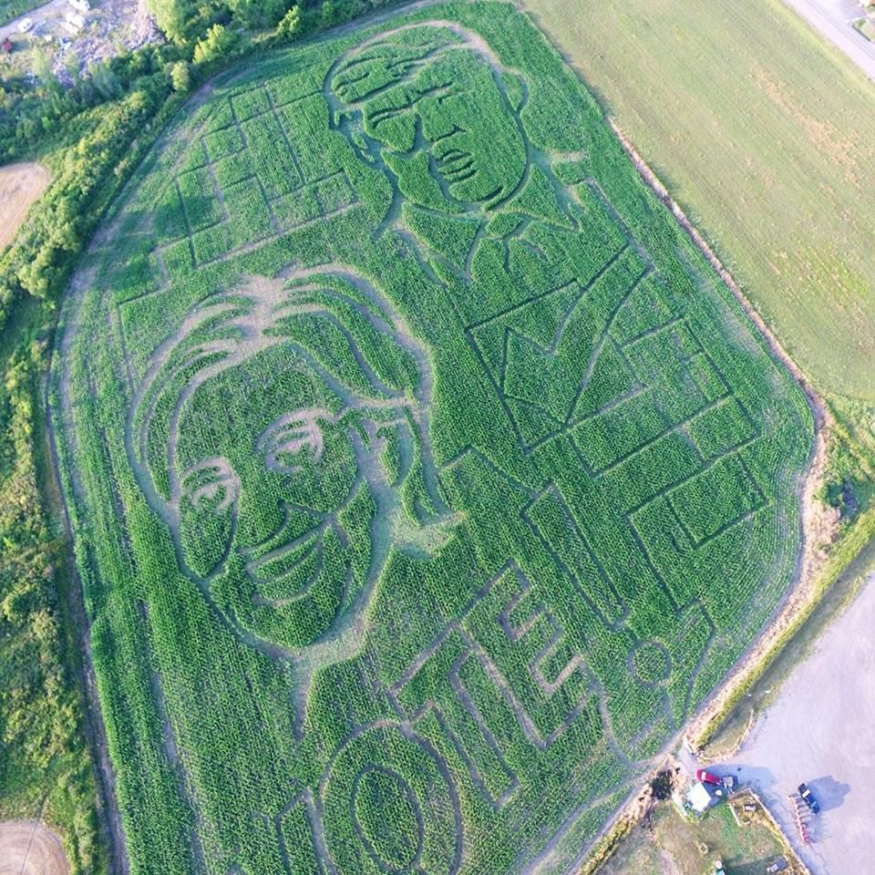 Hillary Clinton, Donald Trump Carved Into Cambria Corn Maze