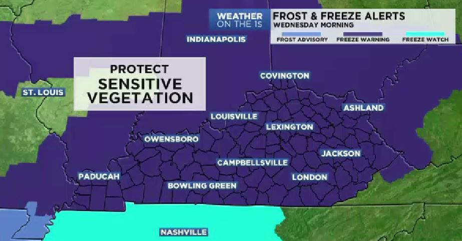 Freeze Warning: Overnight - Wednesday Morning
