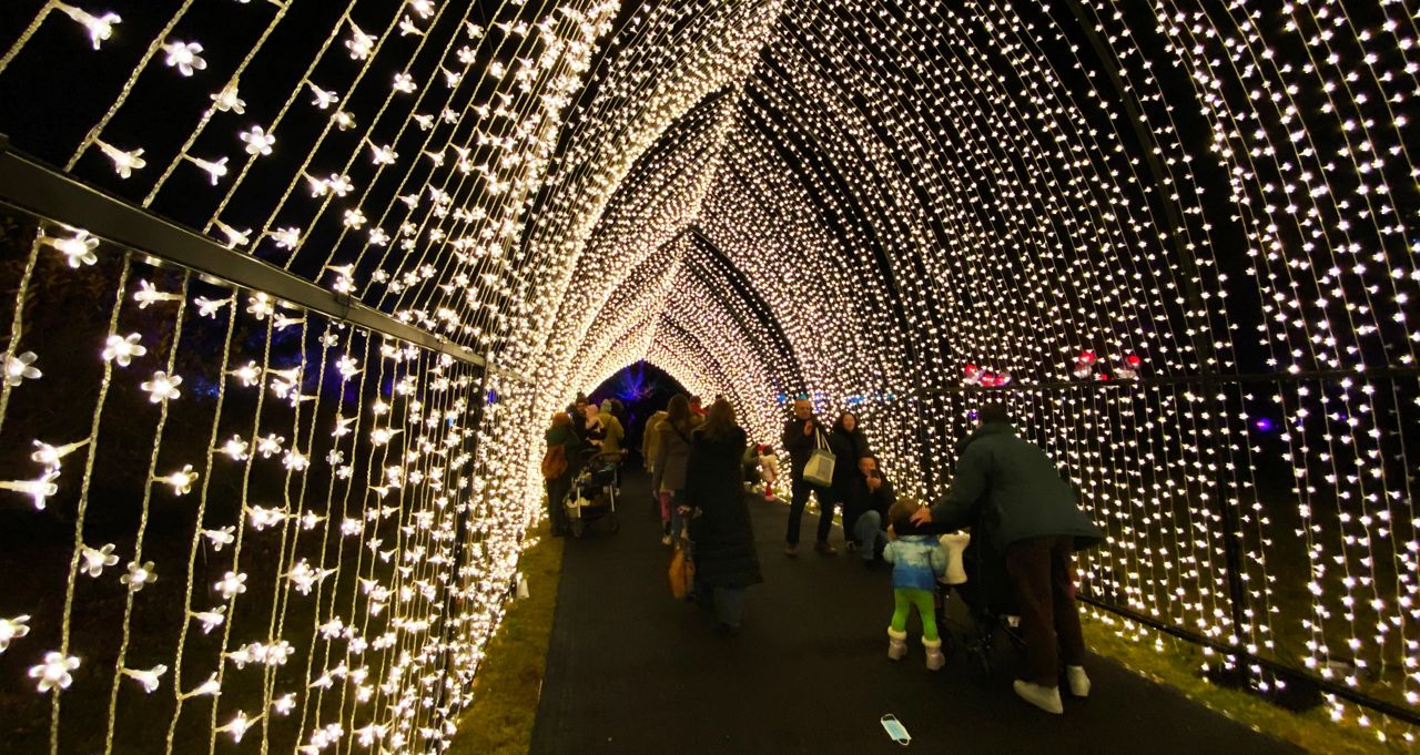 'Lightscape' brightens holidays at Brooklyn Botanic Garden