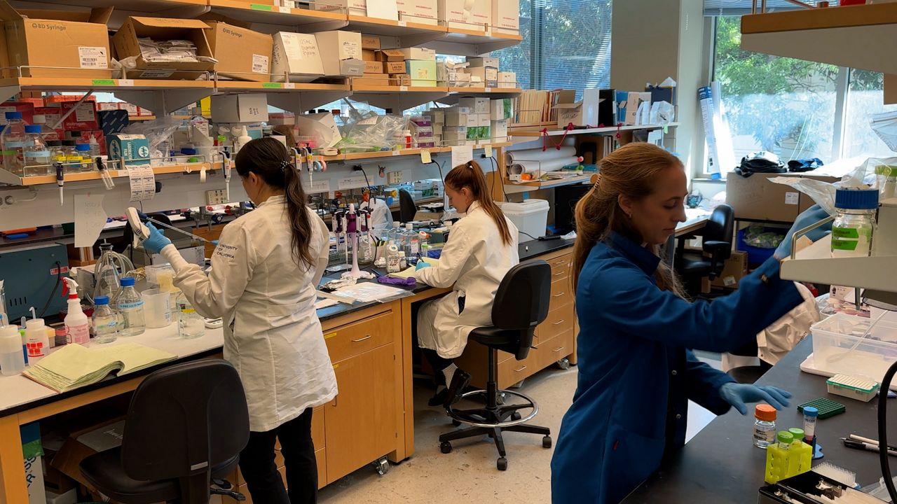 UCLA cultivated meat