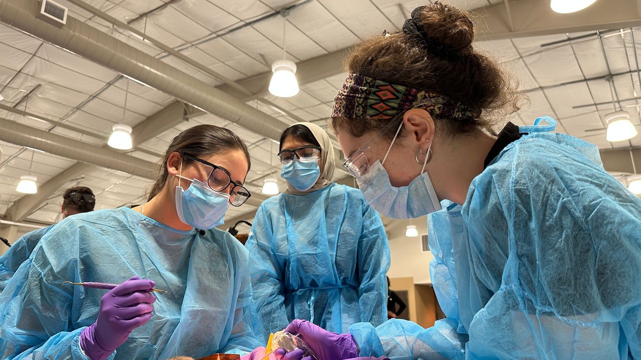 First-year dental students provide oral health care for kids