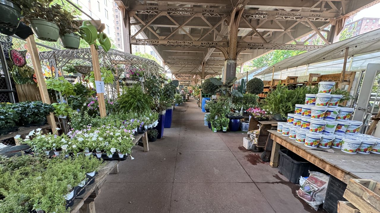 Evening Briefing: June 20, 2024