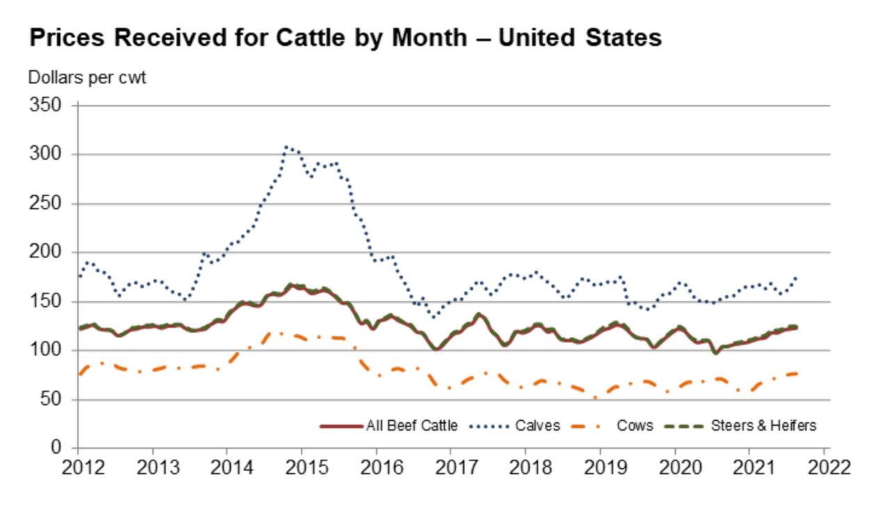 Central Florida rancher says beef prices may be up, but cattle profits ...