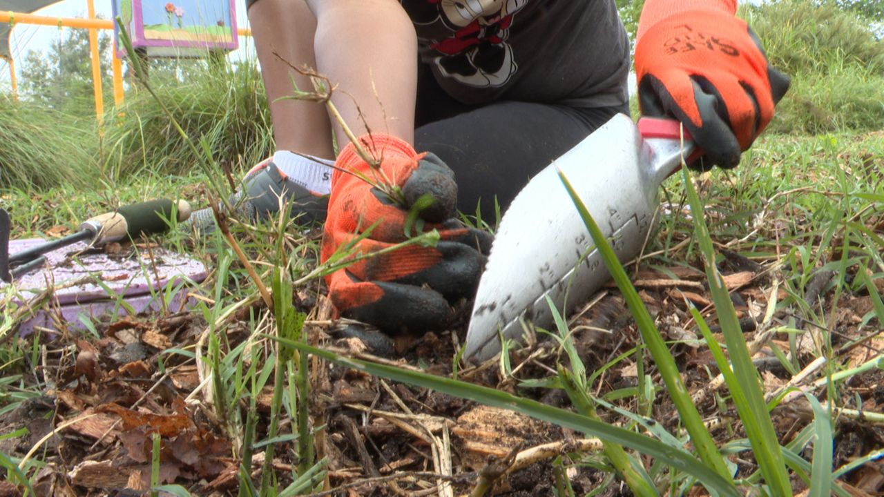 NFL Green Week Kicks Off With Planting Fruit Trees