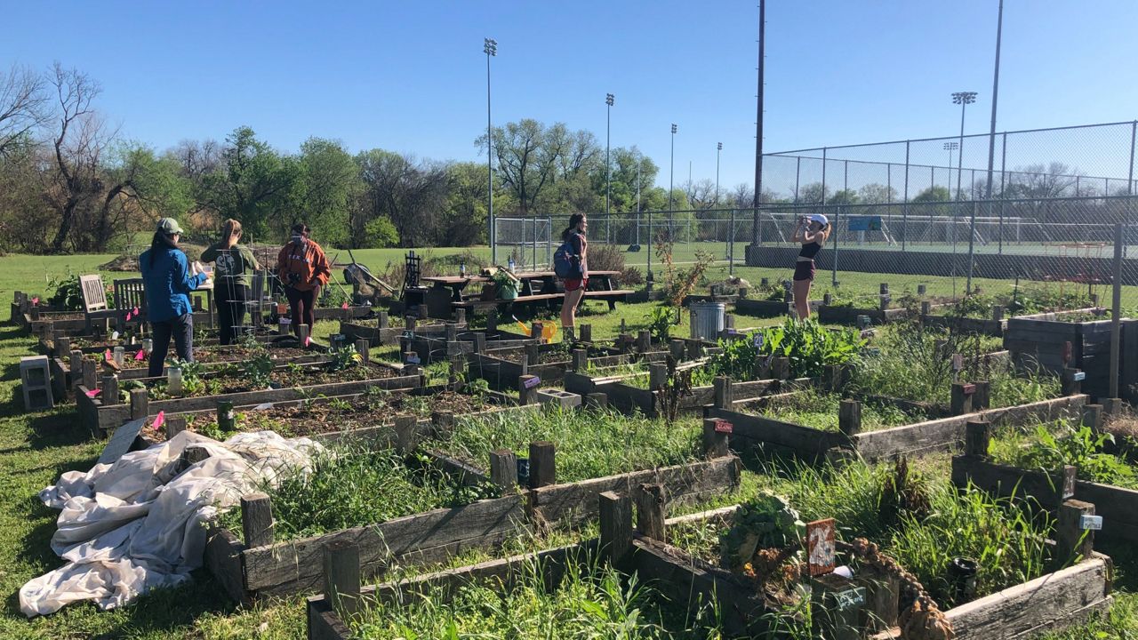 UT Austin students donate food to classmates in need