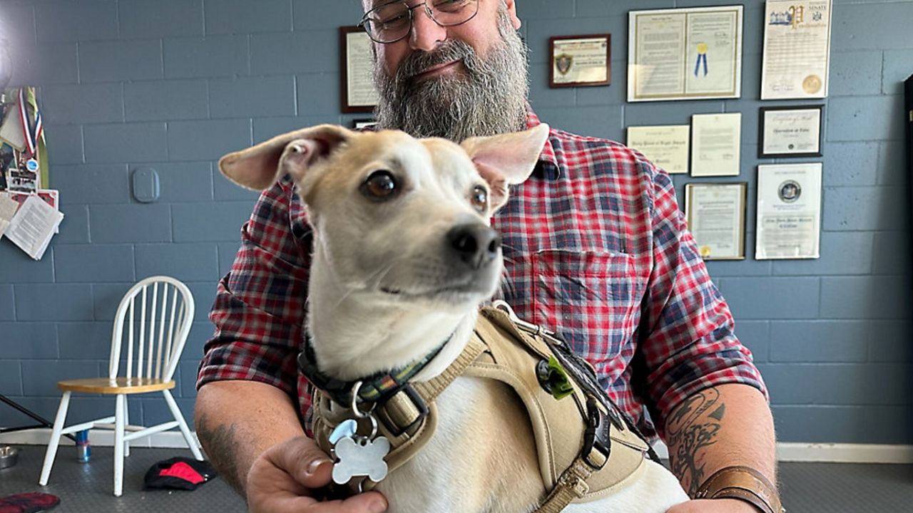 Free service dog program for veterans with PTSD