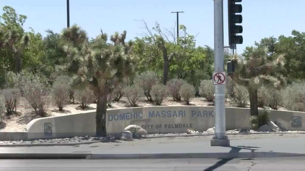 Domenic Massari Park to Host National Night Out Event in Bid to Improve ...