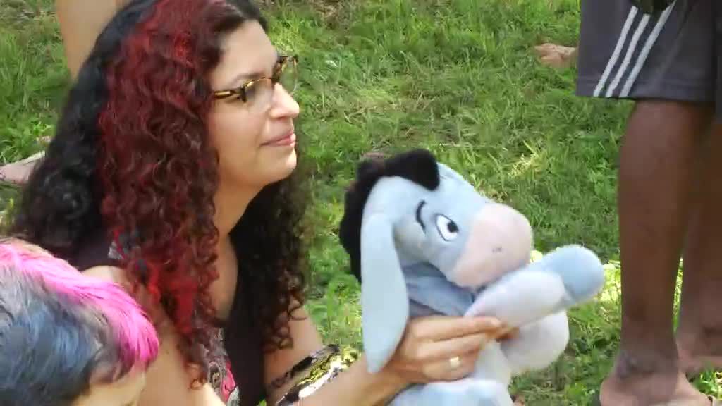 Eeyore's Birthday: Austinites Help Cheer Up Gloomy Donkey for 53rd Year