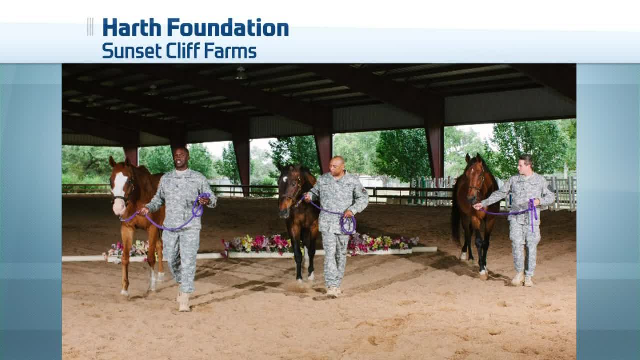 Group Pairs Soldiers with Horses for Healing, Recovery