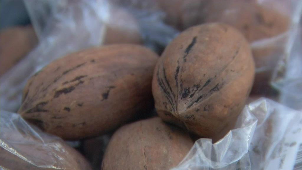 Pecan Prices Hit Record High