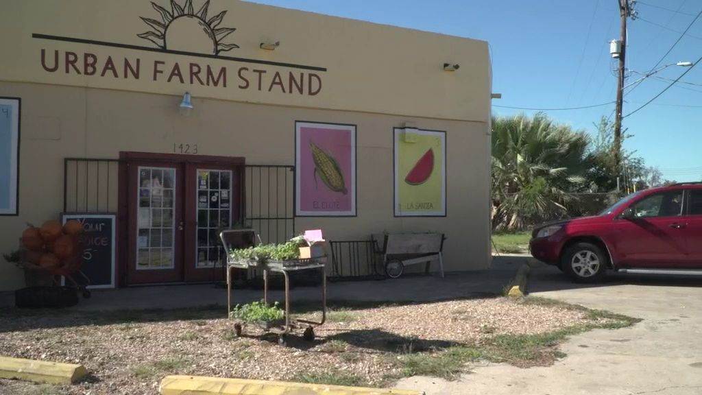 Urban Farm Stand Offers Perks of Weekend Farmers Market All Week Long