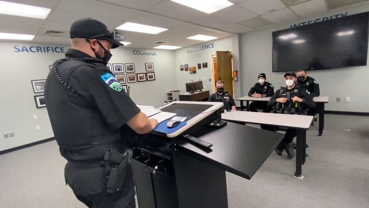 Law enforcement and mental health