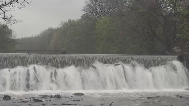 Return of Fish Another Sign of Bronx River's Revival