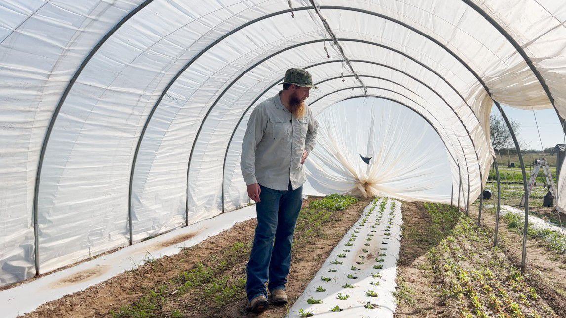 South Texas farmers prep for freeze