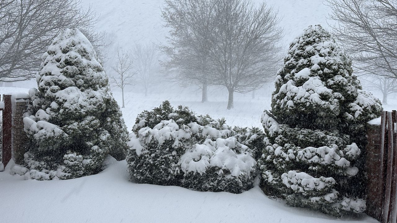 Morning Briefing in Buffalo: November 28