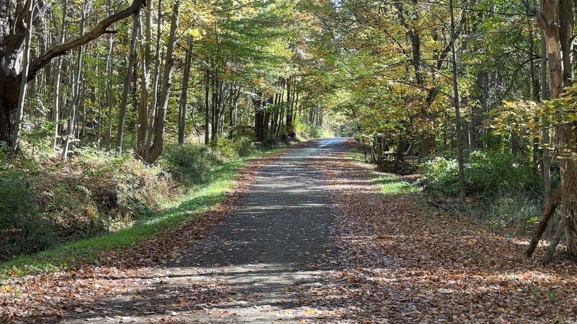 NYS initiative under fire after new forest designation