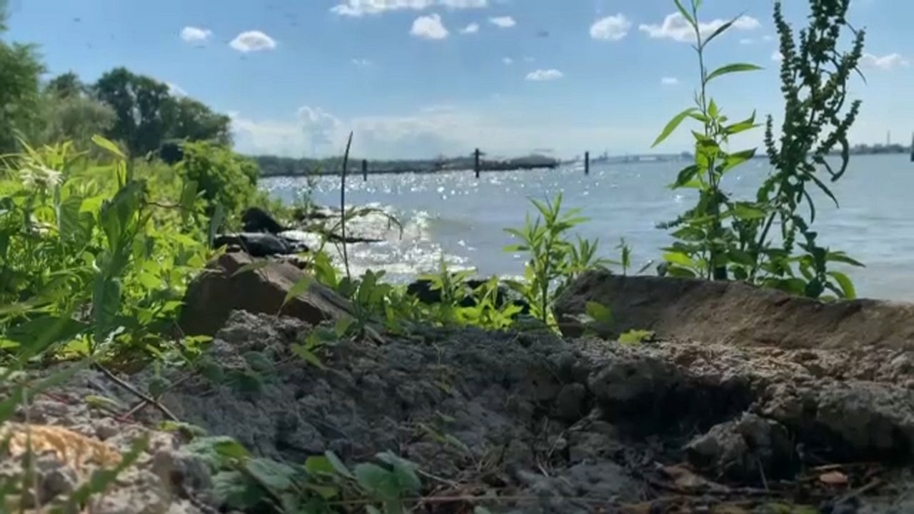 Barriers Planned To Preserve Wildlife On Grass Island