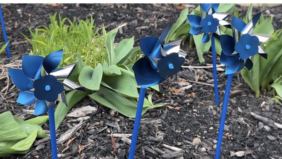 Pinwheels in motion to combat child abuse across New York