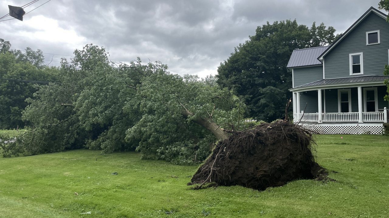 Severe weather in Genesee County leads to downed trees