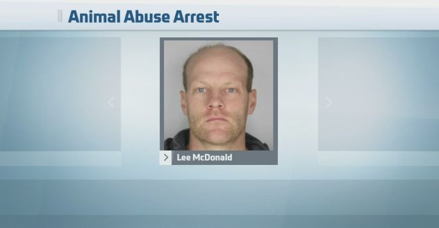 Man Charged With Failure to Care for Sheep