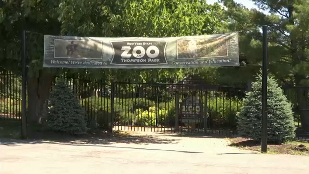 Thompson Park Zoo Given Second Chance and Plans to Take Advantage