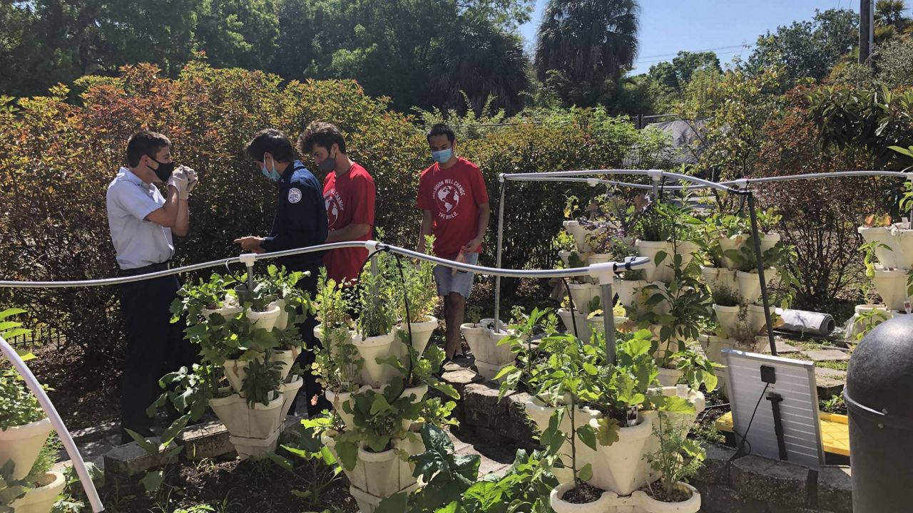 Students Working Hydroponic and Solar Garden at Plant High School