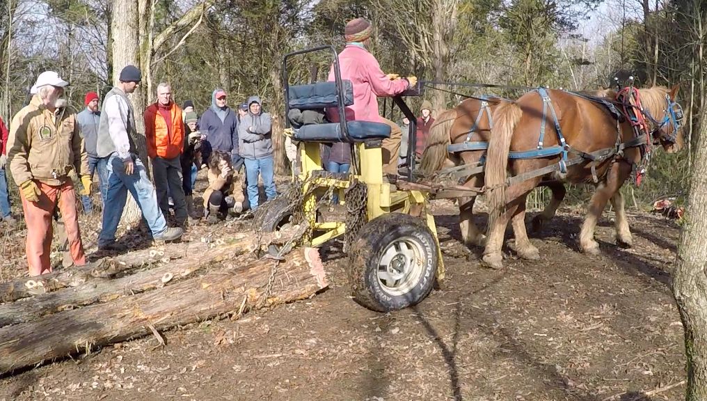 College farms sustainably using centuries' old practices