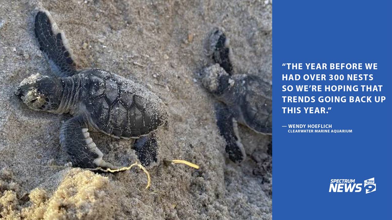 Morning Briefing: Tampa — May 7, 2024