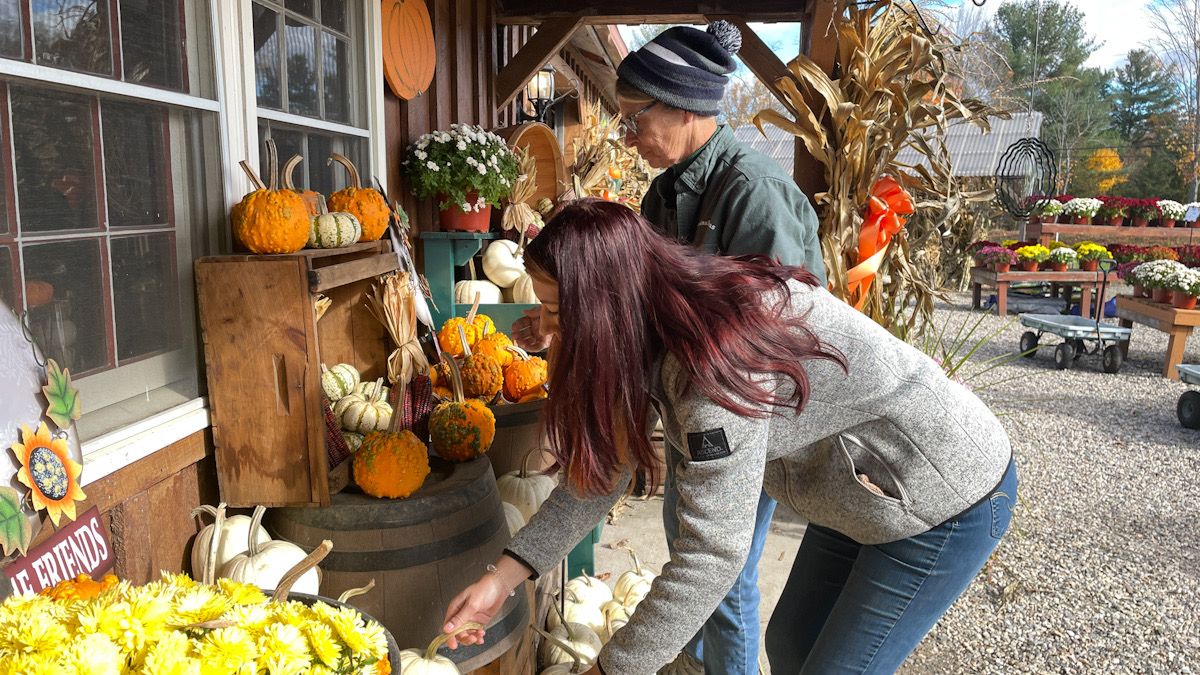 Kosinski Farms seeing great results from pumpkins