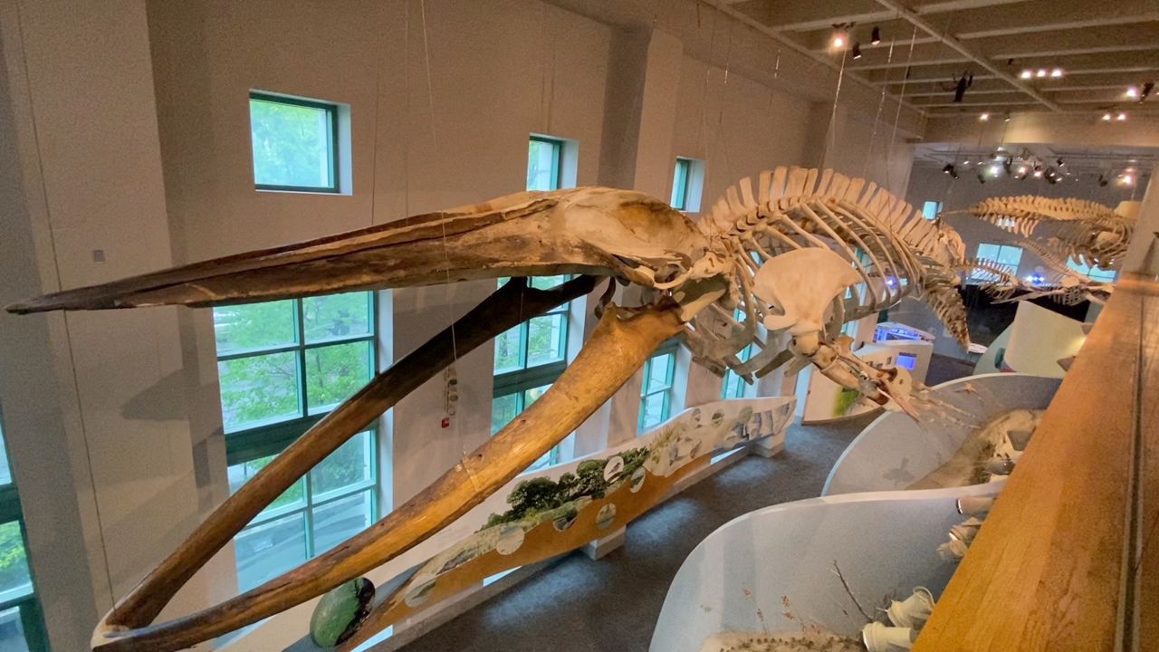 N.C. museum holding first event in two years