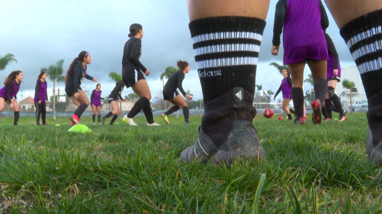 Seeing Stars: Combating Concussions in Youth Soccer