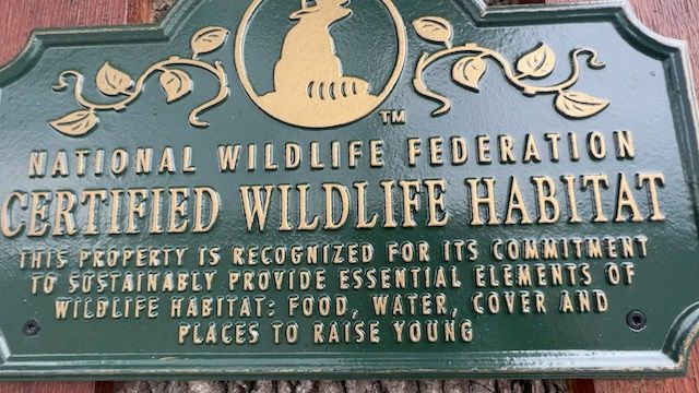 Beech Mountain named certified wildlife habitat